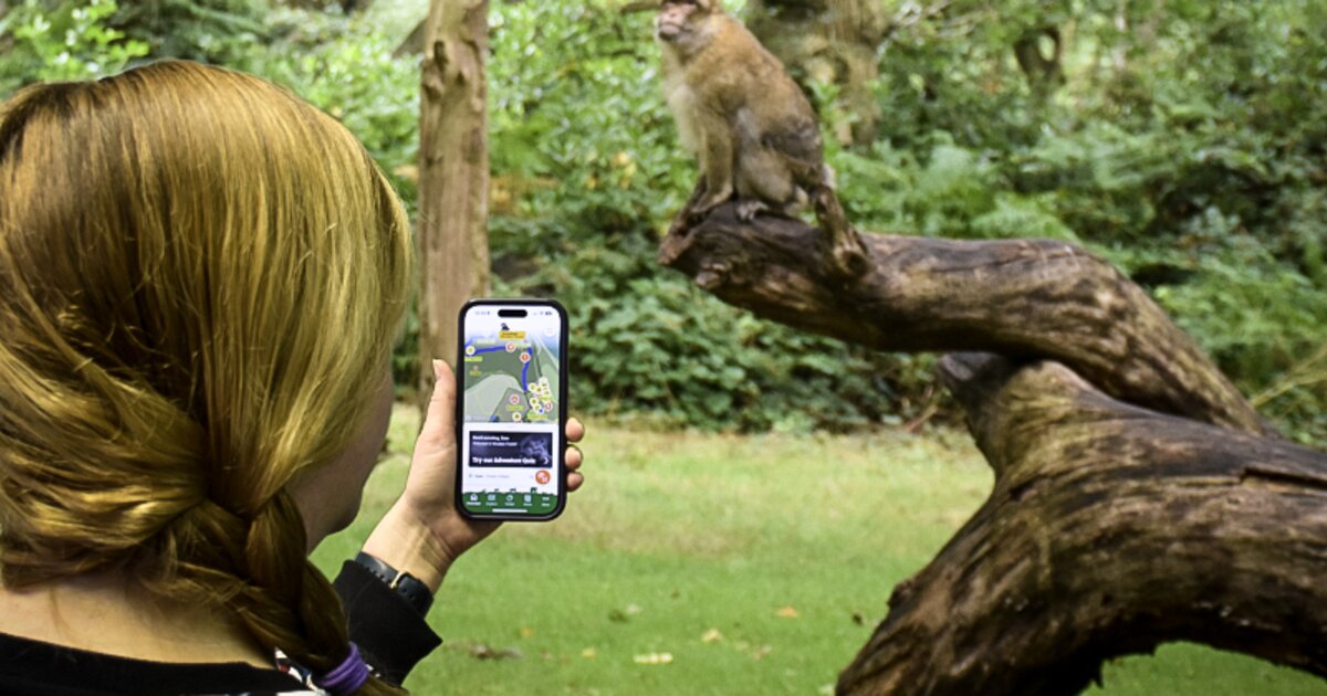 UK animal park Trentham Monkey Forest... | Travolution